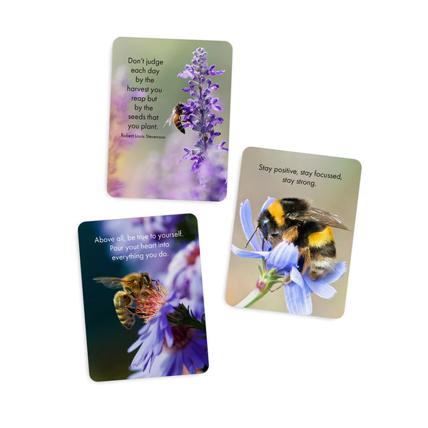 24 Animal Affirmation Cards + Stand - Just Bee – Affirmations ...