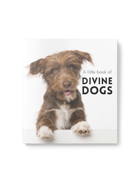 Little Book of Divine Dogs – Affirmations Publishing House NZ