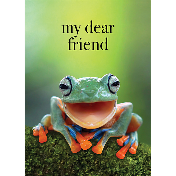 Frog Friendship Card – Affirmations Publishing House NZ