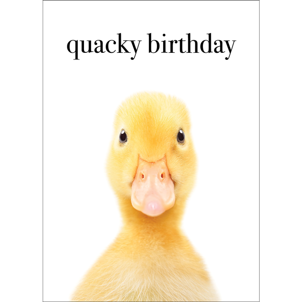 Quacky Duck Profile For Quacky Establishment