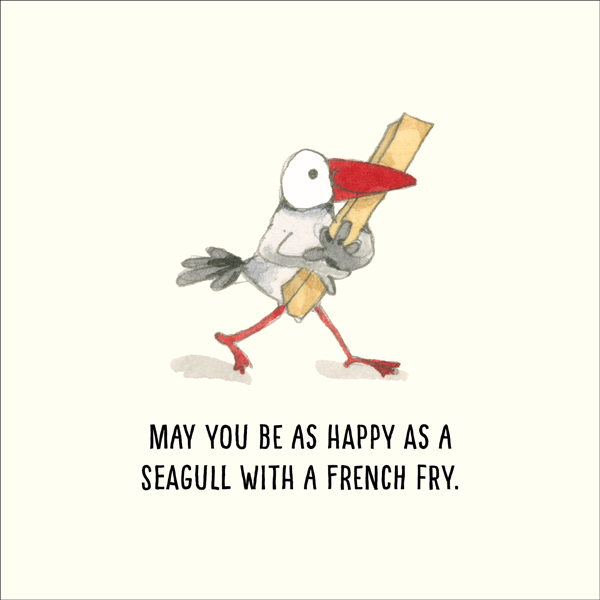 Twigseeds Seagull Card Set For All Occasions – Affirmations Publishing ...
